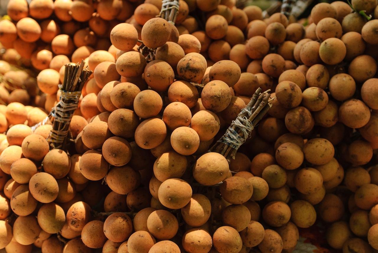 Pitomba: conheça os benefícios e a origem da fruta - ABRAFRUTAS