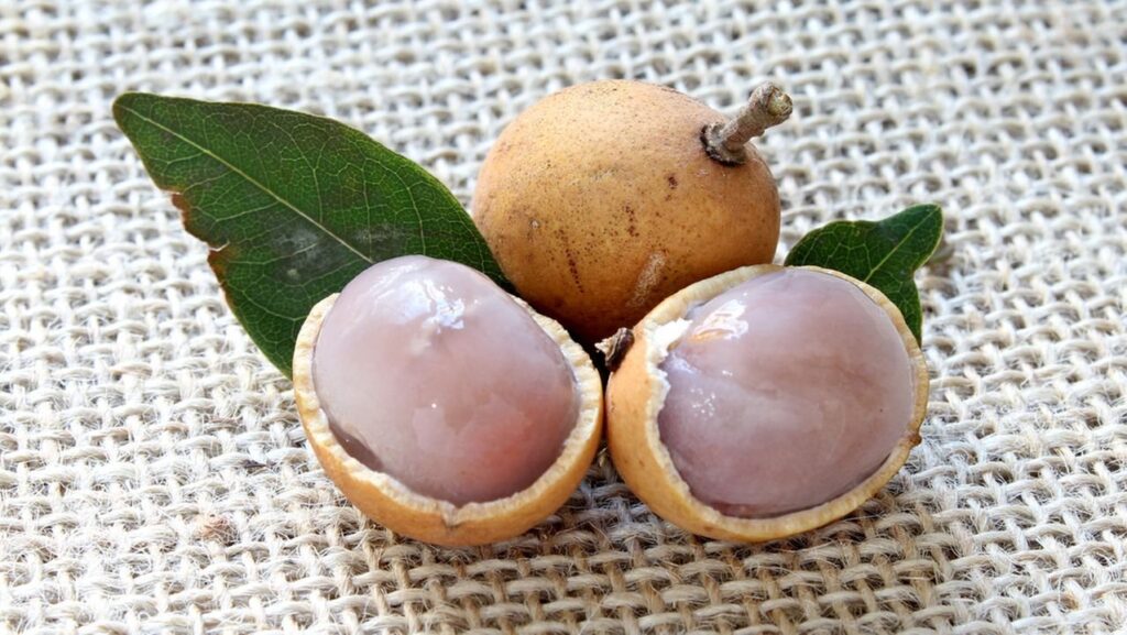 Pitomba: conheça os benefícios e a origem da fruta - ABRAFRUTAS